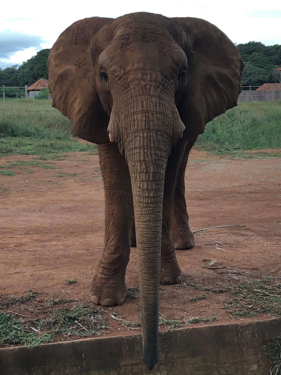 Updates - Making Life Brighter